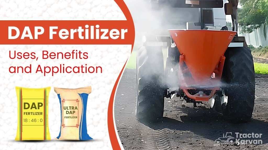 What is DAP Fertilizer and its Uses in Agriculture?