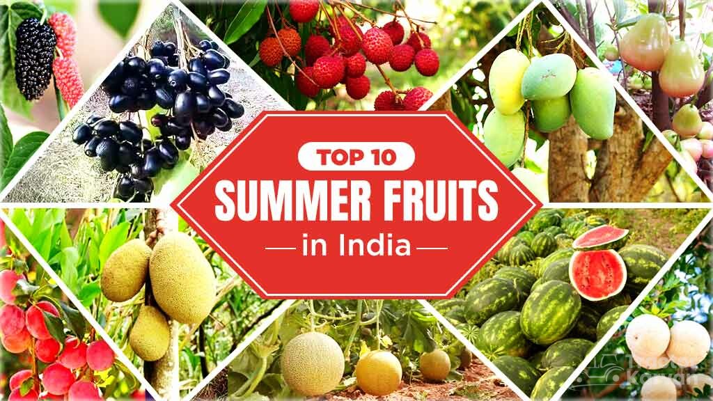Top 10 Summers Fruits in India | Seasonal Picks of 2025