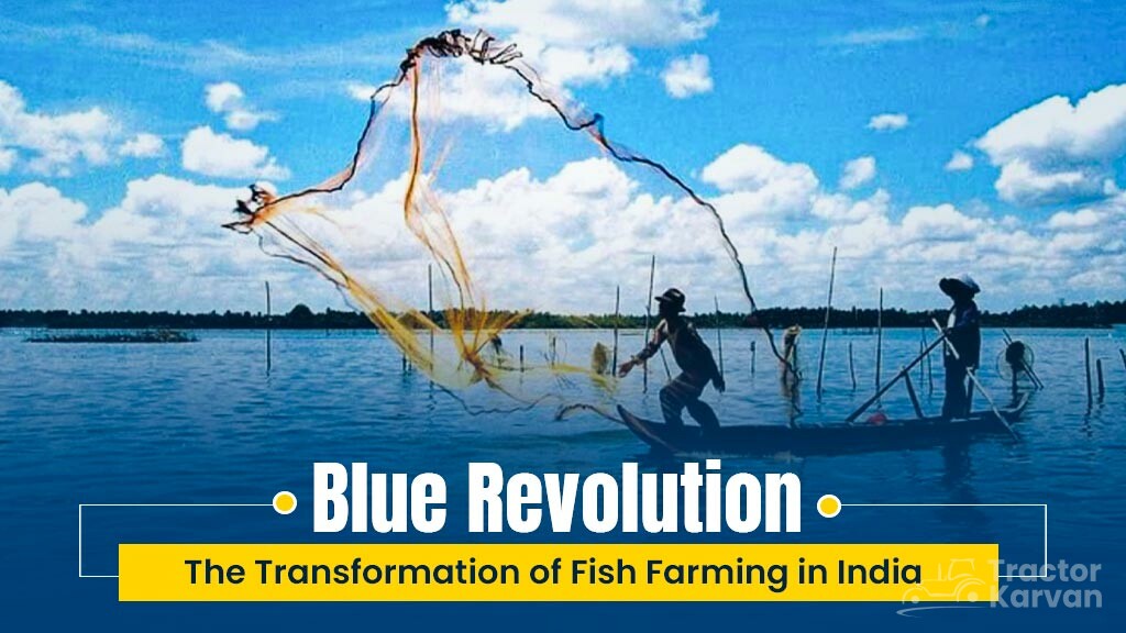 Blue Revolution in India and Its Future