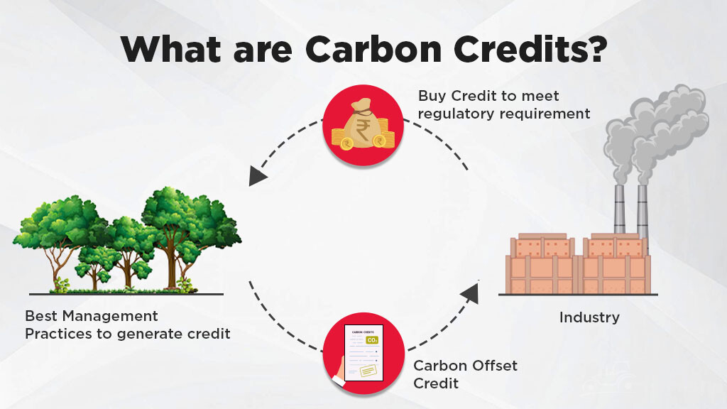 Carbon Credits in India: Policies, Benefits & Future Prospects