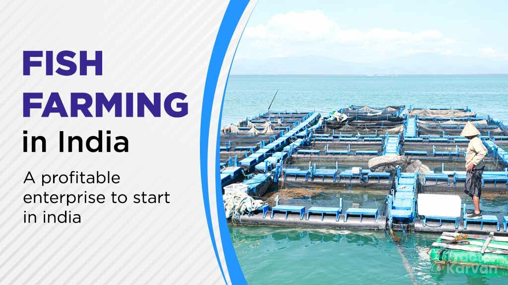 How to Start a Fish Farming Business in India