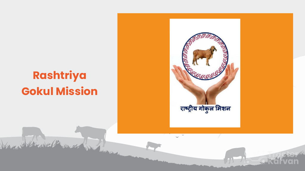 List of Government Schemes for Dairy Farming in India