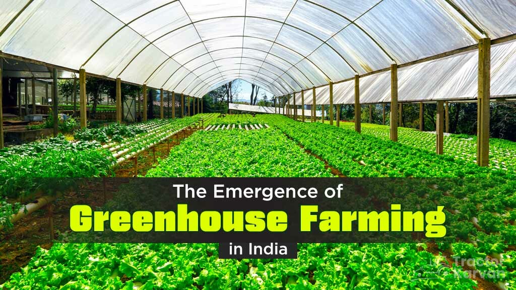 Greenhouse Farming - How to Start, Types, Benefits and Challenges
