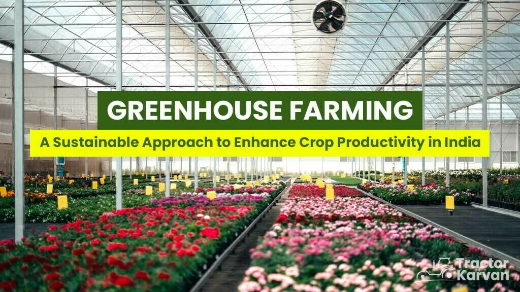 Greenhouse Farming: A Comprehensive Guide for 2026