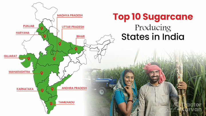 Top 10 Largest Sugarcane Producing States in India - Tractorkarvan