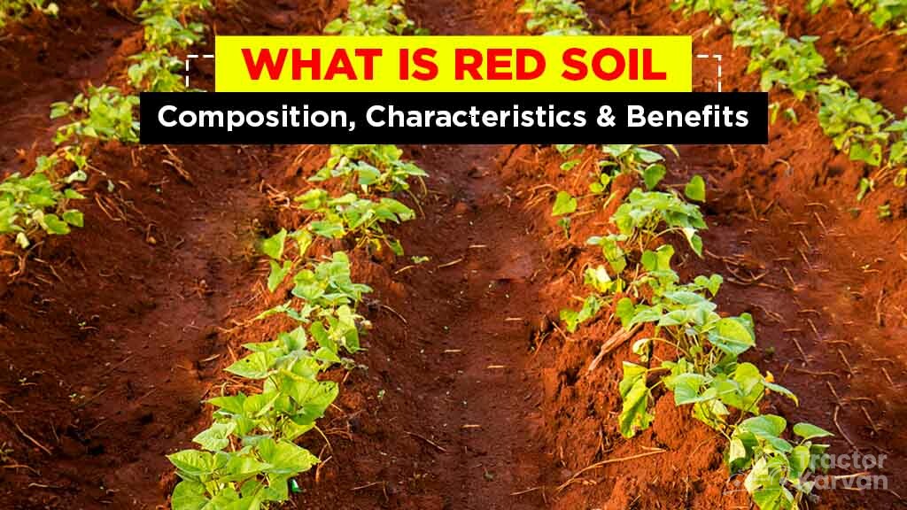 Characteristics & Benefits of Red Soil