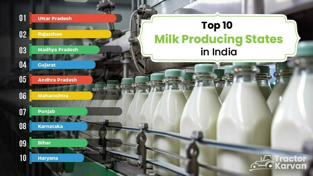 Top 10 Milk Producing States in India 2024 - Tractorkarvan