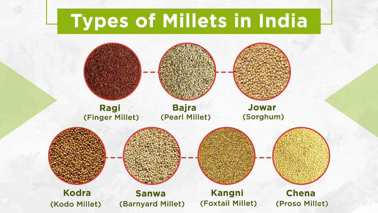 Types of Millets in India – Importance & Top Millet Producing States