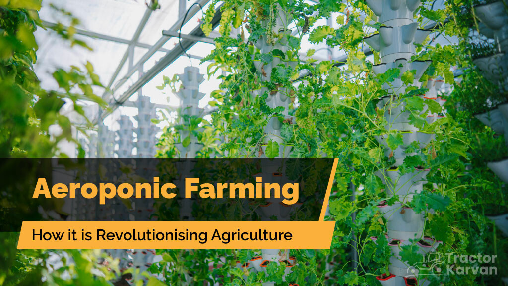 Aeroponic Farming in India and How it is Gaining Momentum