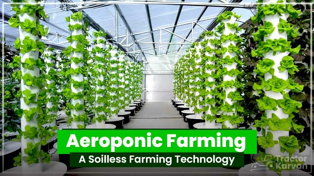 Aeroponics Farming - Advantages, Challenges & Current Status