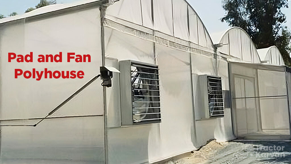 What is Polyhouse Farming - Benefits & Types