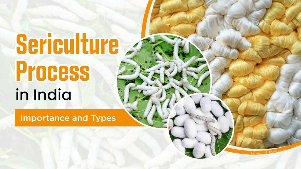 Sericulture - Importance, Types, Process & Top Silk Producing States
