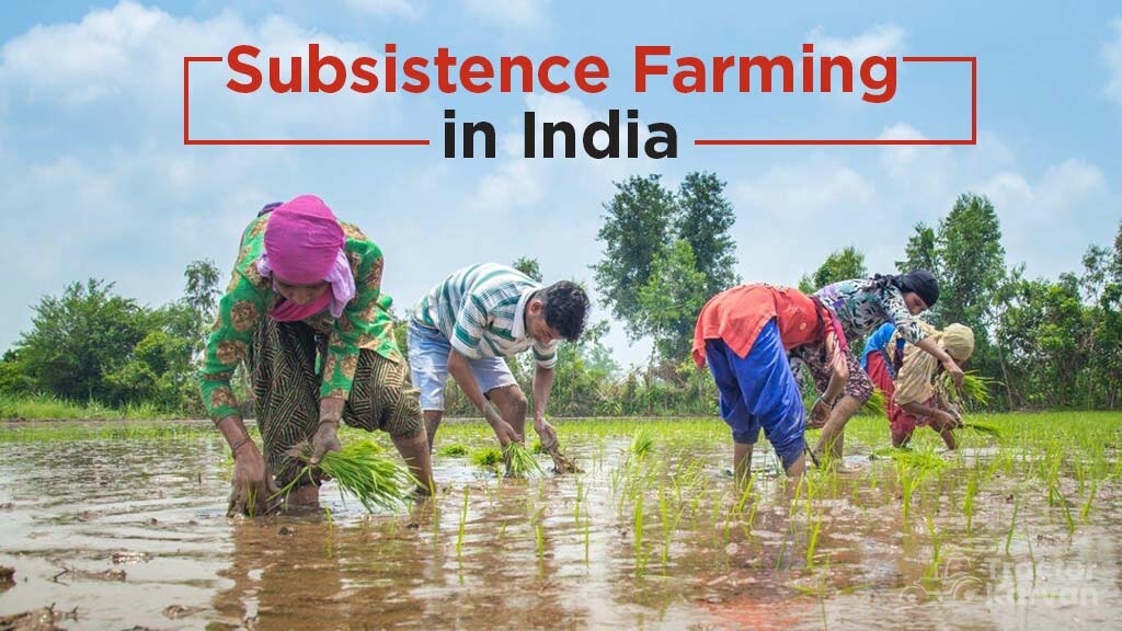 Subsistence Farming in India – Types, Characteristics & Advantages