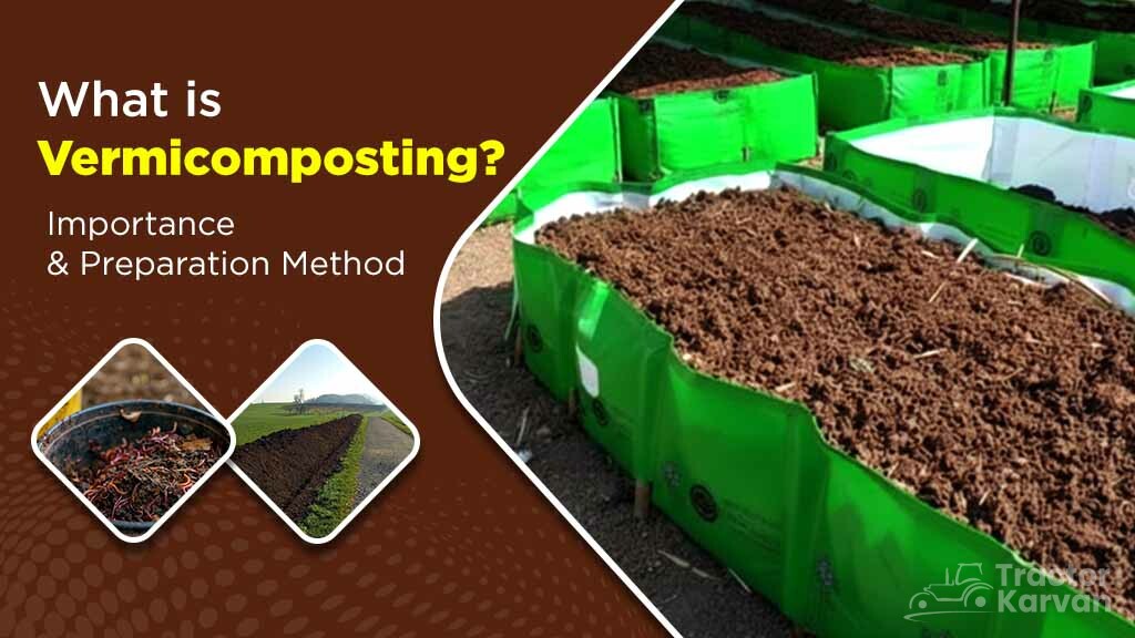 Vermicomposting: Types, Method & Role of Earthworms