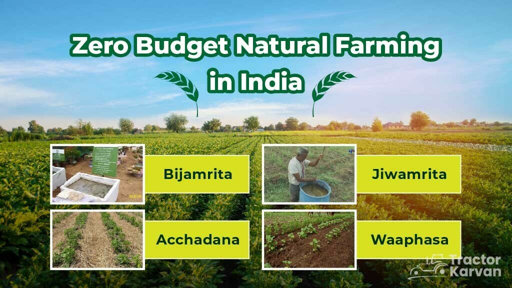 What is Zero Budget Natural Farming, Principles & Govt Initiatives