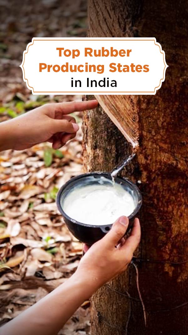 Top Rubber Producing States in India