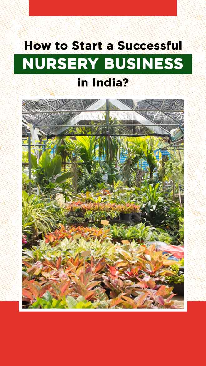 How to Start a Nursery Business in India