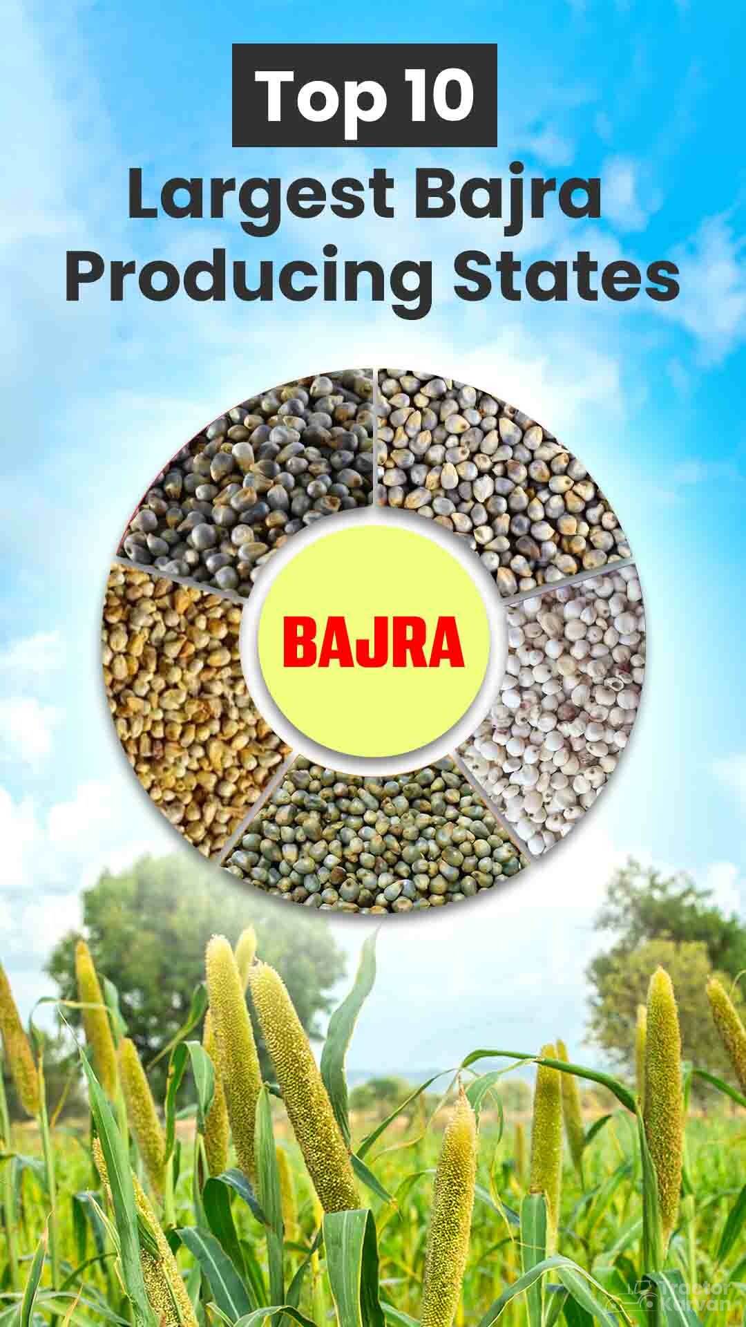 Know the Top 10 Largest Bajra Producing States in India
